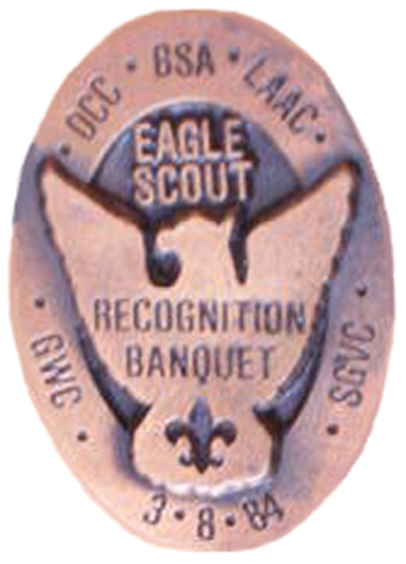 Eagle Scout Pins